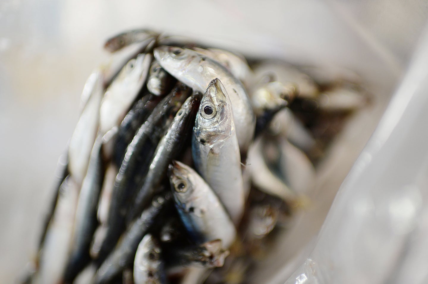 Can Eating Sardines Really Give You 'Glass Skin'? | HuffPost Life
