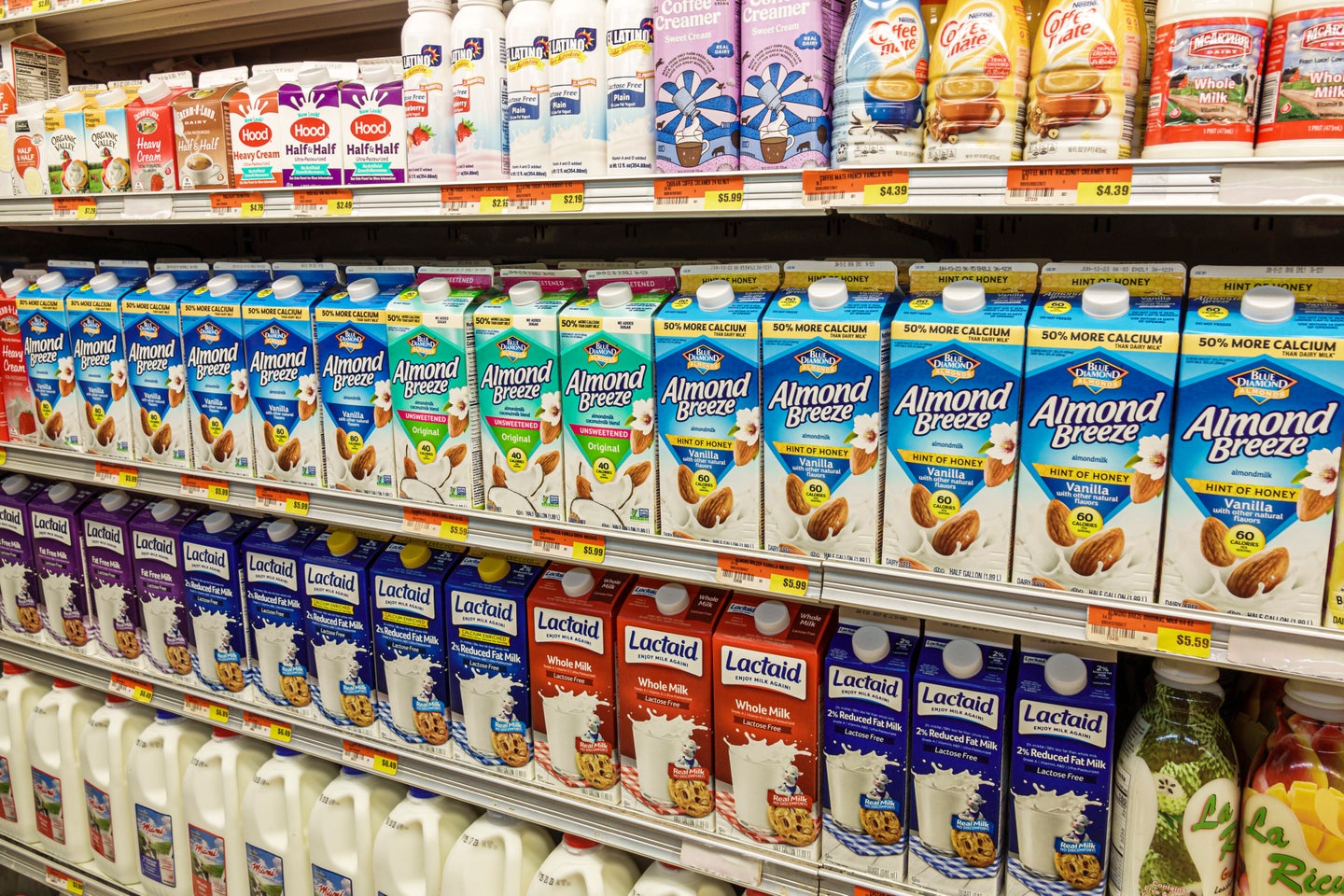 The Best Milk For Strong Bones, Including Non-Dairy Options | HuffPost Life