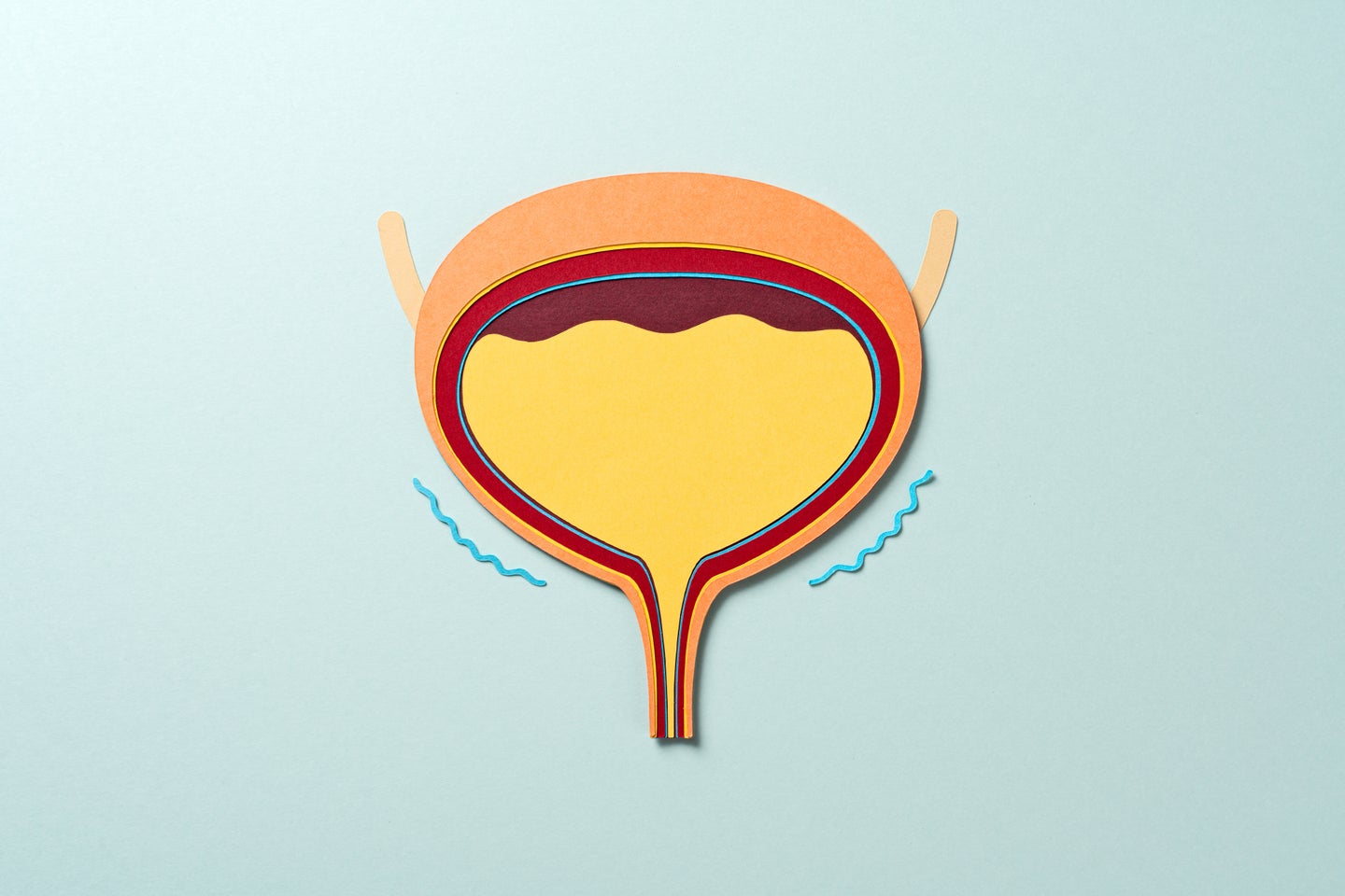 What Your Pee Reveals About Your Health | HuffPost UK Life