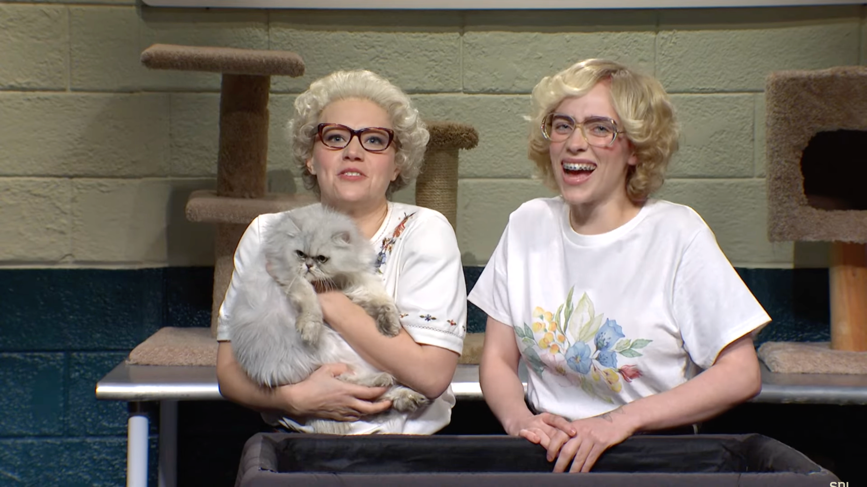 Kate McKinnon And Billie Eilish Drop Purr-fect Cat Puns On 'SNL ...