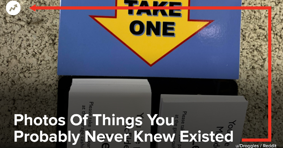 Photos Of Things You Probably Never Knew Existed Huffpost Uk Videos