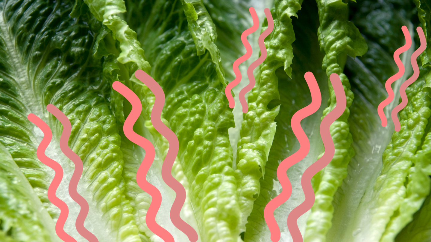 Is It Safe To Eat Lettuce That's Turned Pink Or Slimy? | HuffPost Life