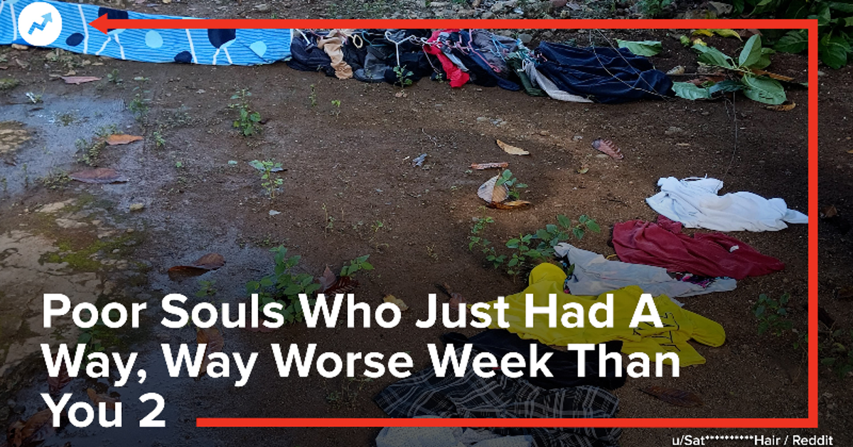 Poor Souls Who Just Had A Way, Way Worse Week Than You 2 | HuffPost UK ...