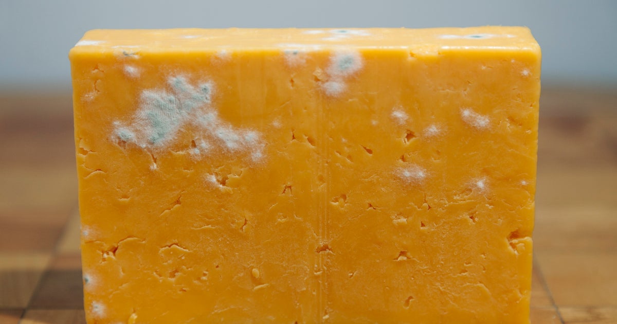 The 35p Ingredient That'll Keep Cheese Mould-Free For Weeks | HuffPost UK Life
