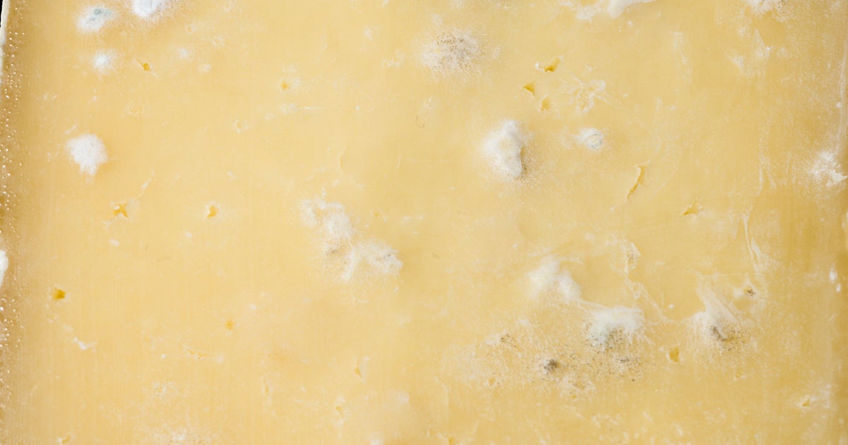 The 1 Colour Of Mould You Don't Want To See On Your Cheese | HuffPost ...