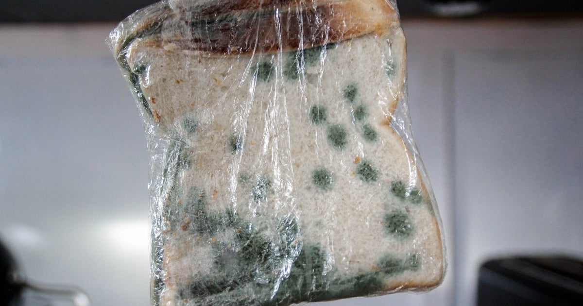 Is It Safe To Cut Mould Off Bread Before Eating It? | HuffPost UK Life