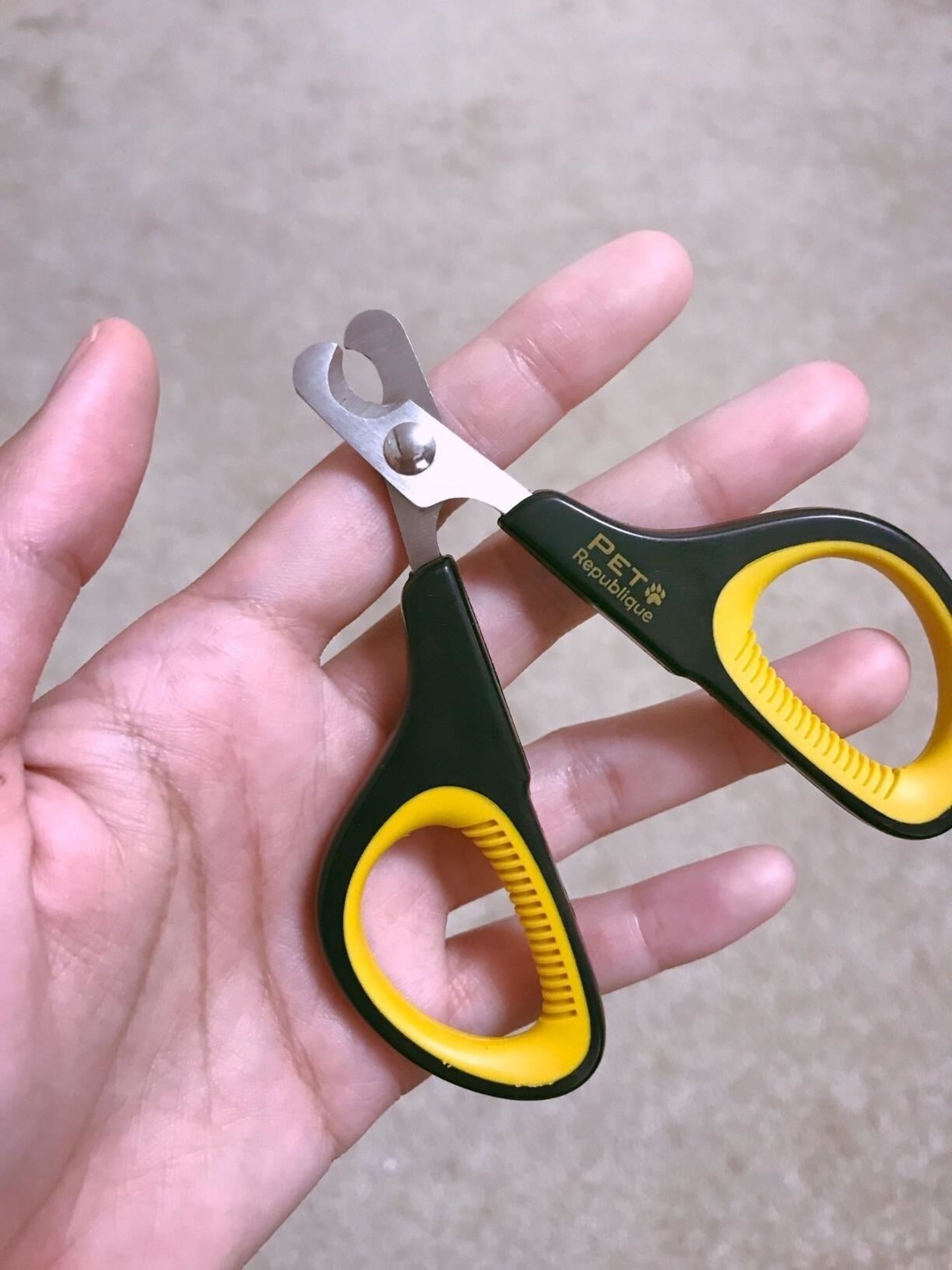 36 Handy Products If You Own Two Or More Cats | HuffPost Life