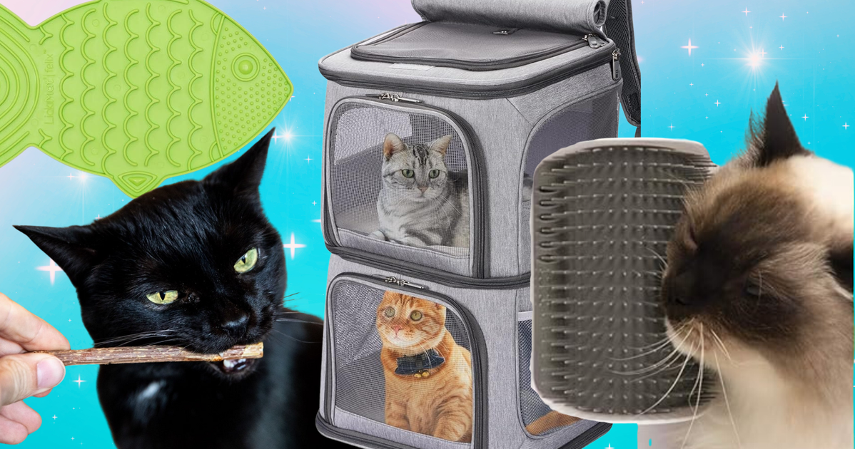 36 Handy Products If You Own Two Or More Cats | HuffPost Life