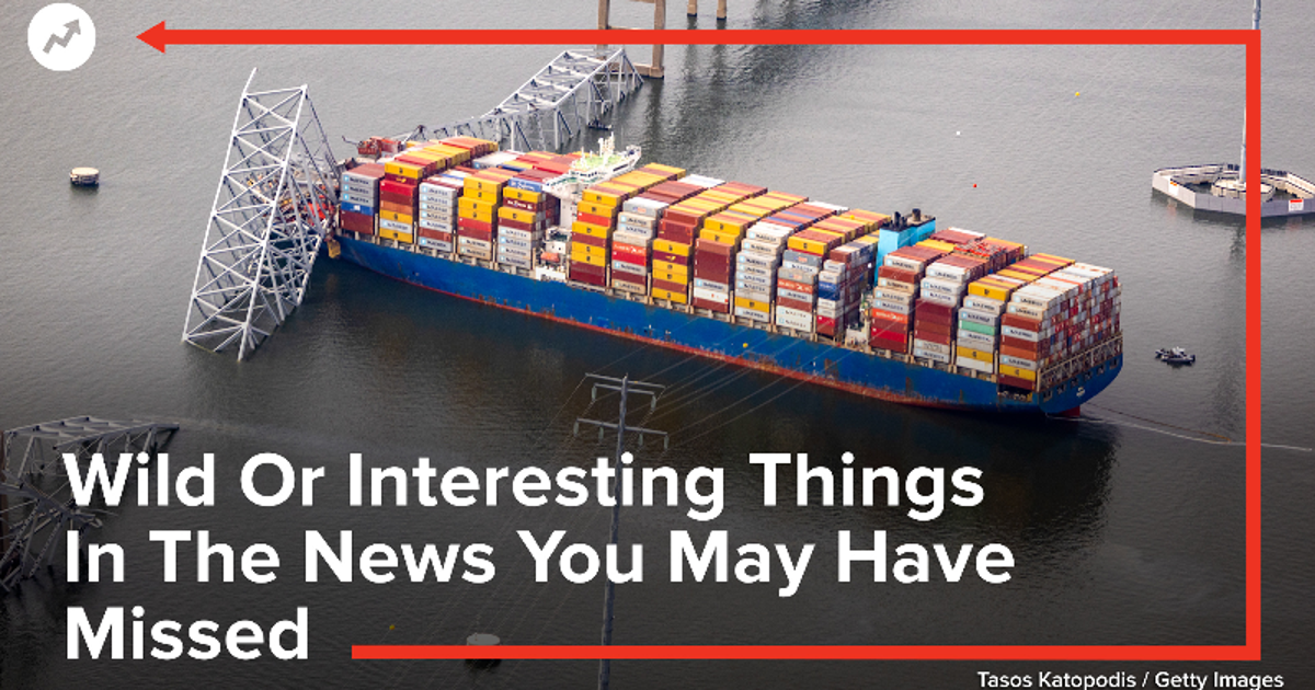Wild Or Interesting Things In The News You May Have Missed | HuffPost ...