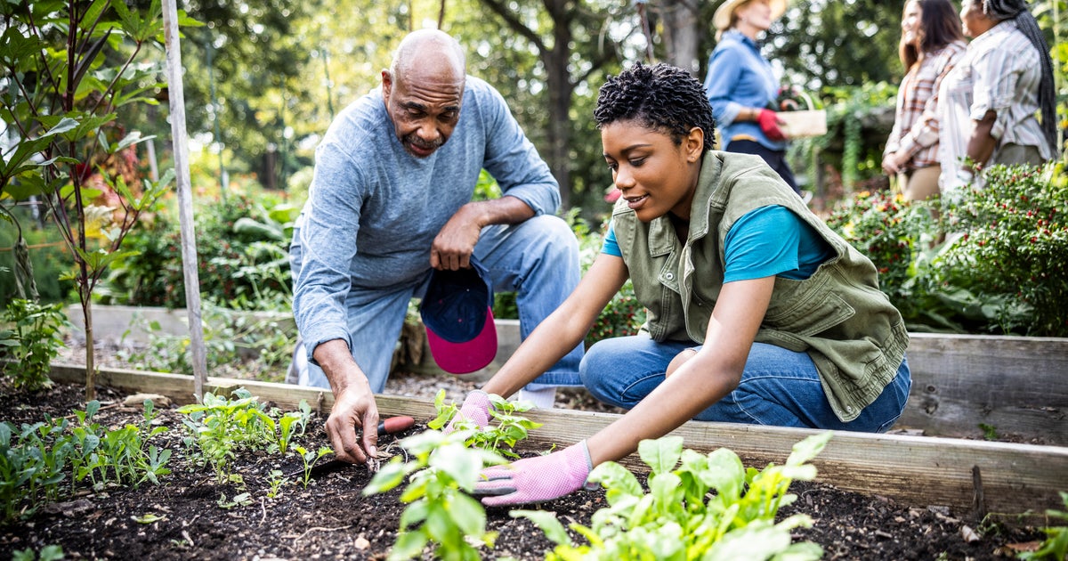 What Is No-Dig Gardening and How Does It Work? | HuffPost UK Life