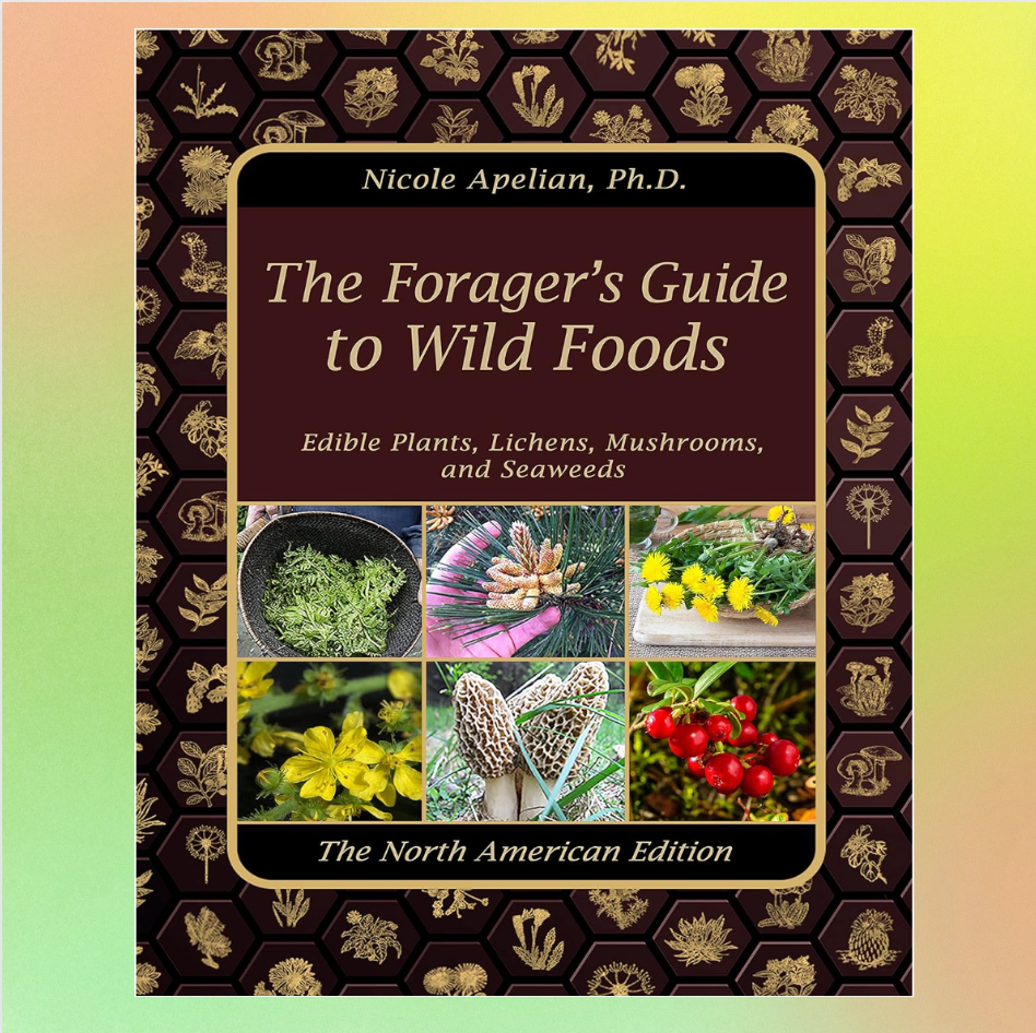 8 Nature And Camping Books For Getting Outdoors | HuffPost Life