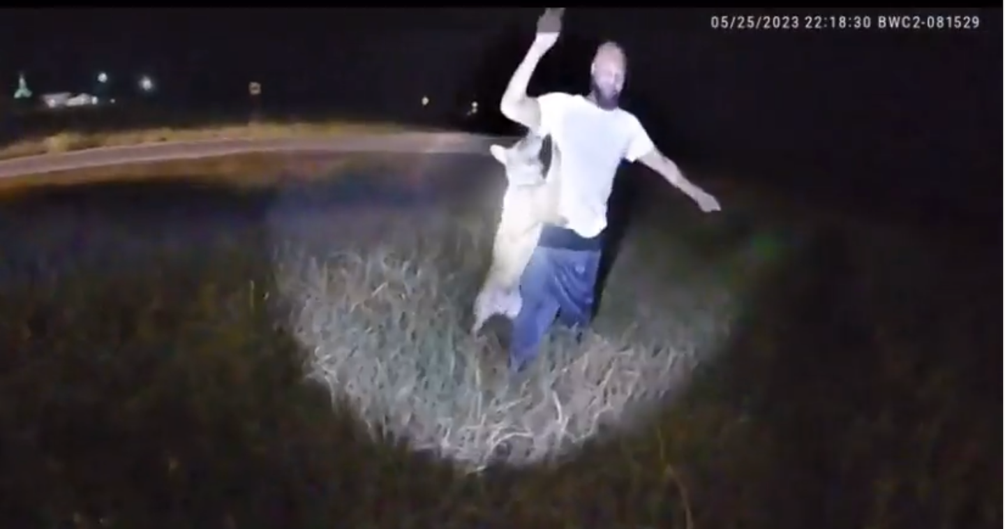 Video Shows Texas Police Dog Attacking Black Man | HuffPost Latest News