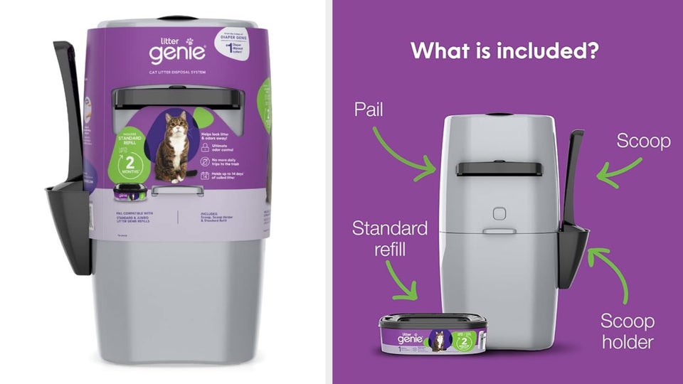 10 Innovative Pet Products For Cats And Dogs | HuffPost Life