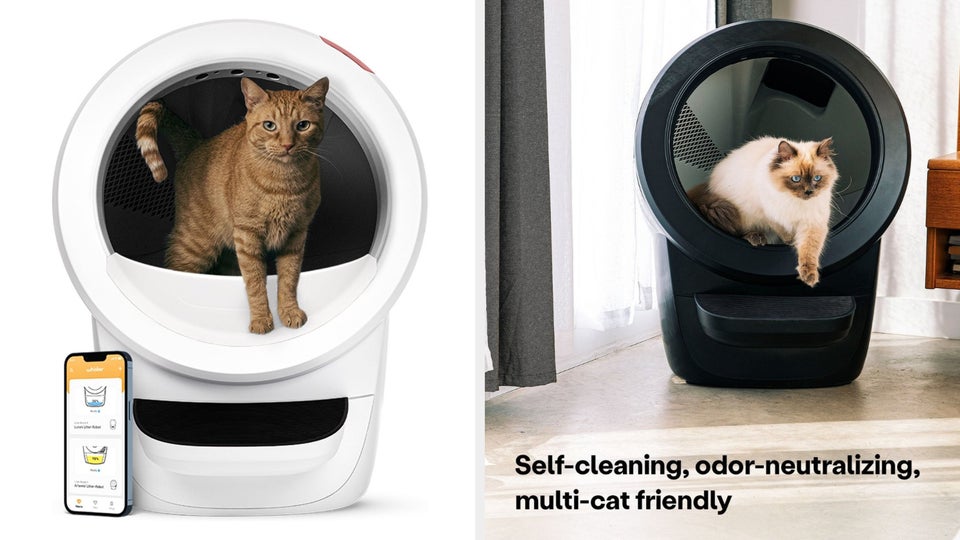 10 Innovative Pet Products For Cats And Dogs | HuffPost Life