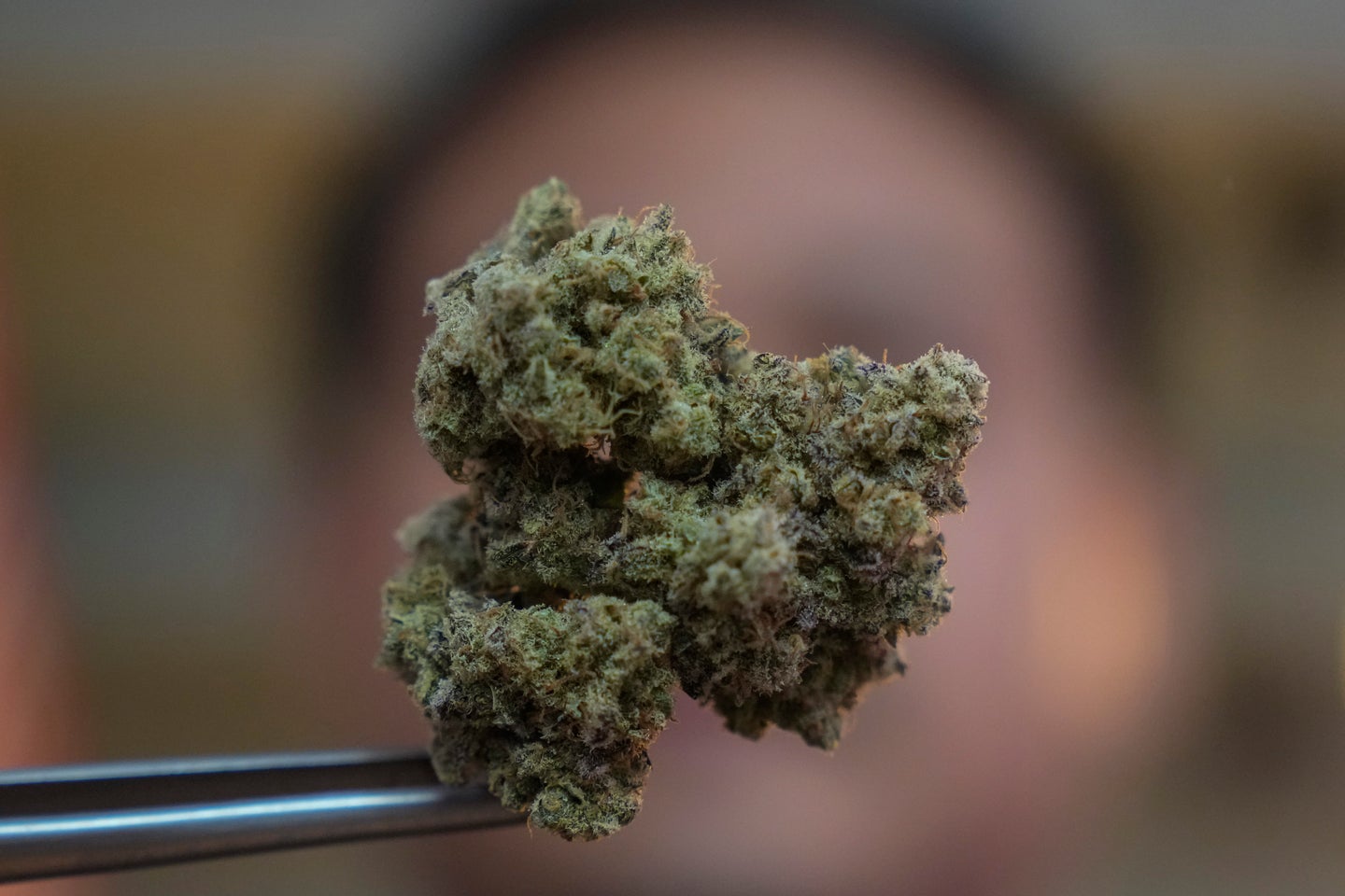 Biden Administration To Reclassify Marijuana As Less Dangerous Drug ...