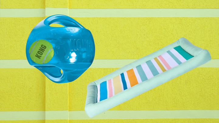 New Target Pet Products To Enhance Your Fur Baby’s Summer | HuffPost Life