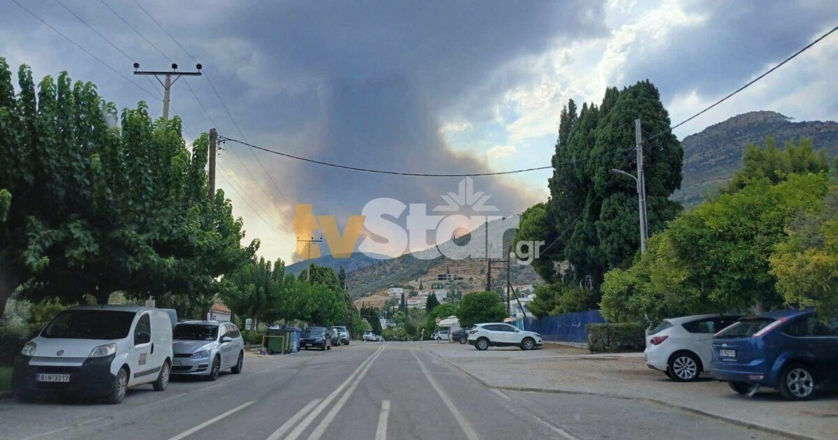 Μεγάλη φωτιά στην Φωκίδα - 62 οι πυρκαγιές στη χώρα το τελευταίο 24ωρο ...