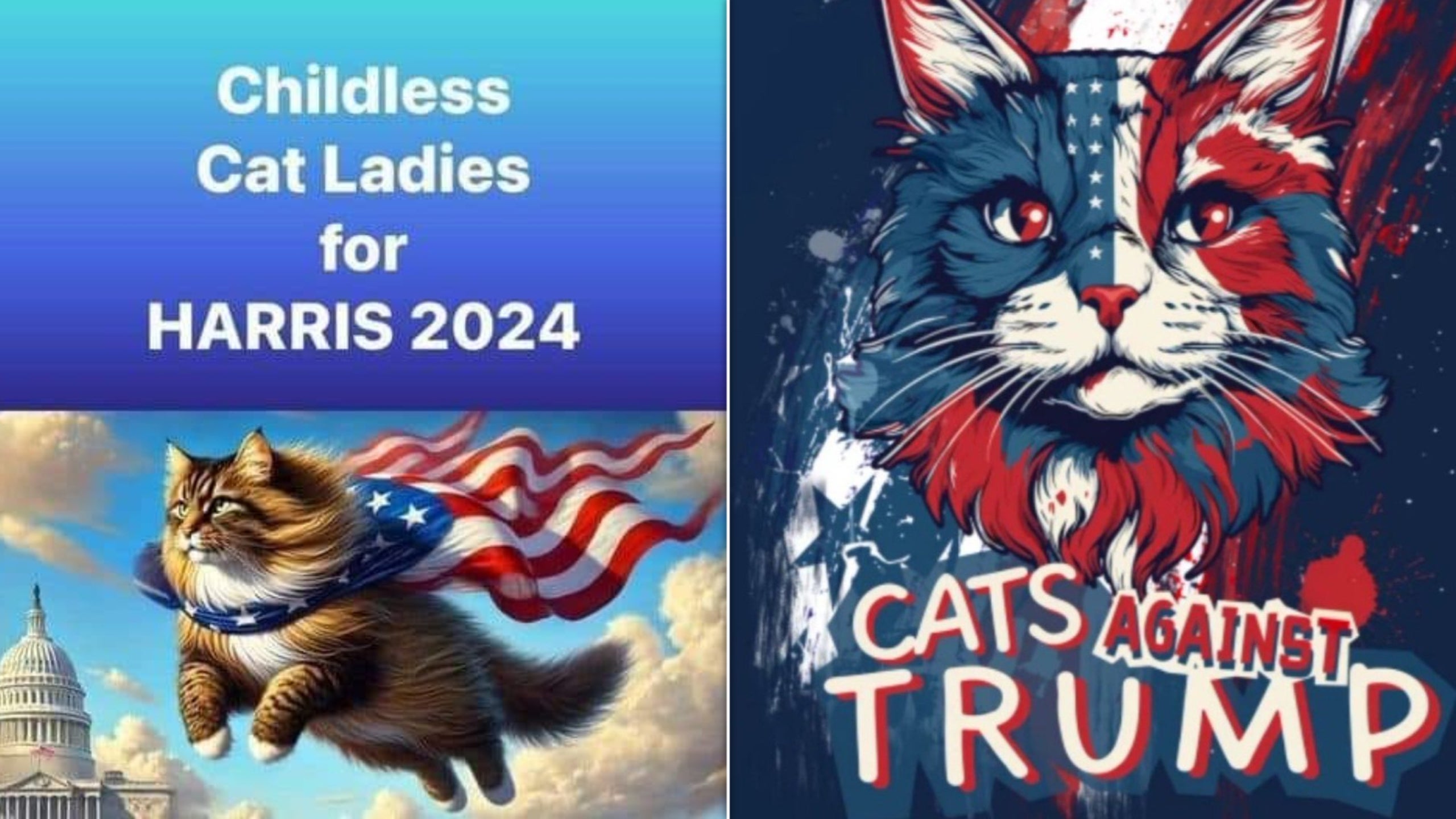 Childless Cat Ladies Claw JD Vance: We 'Don’t Exist To Fulfill Your ...