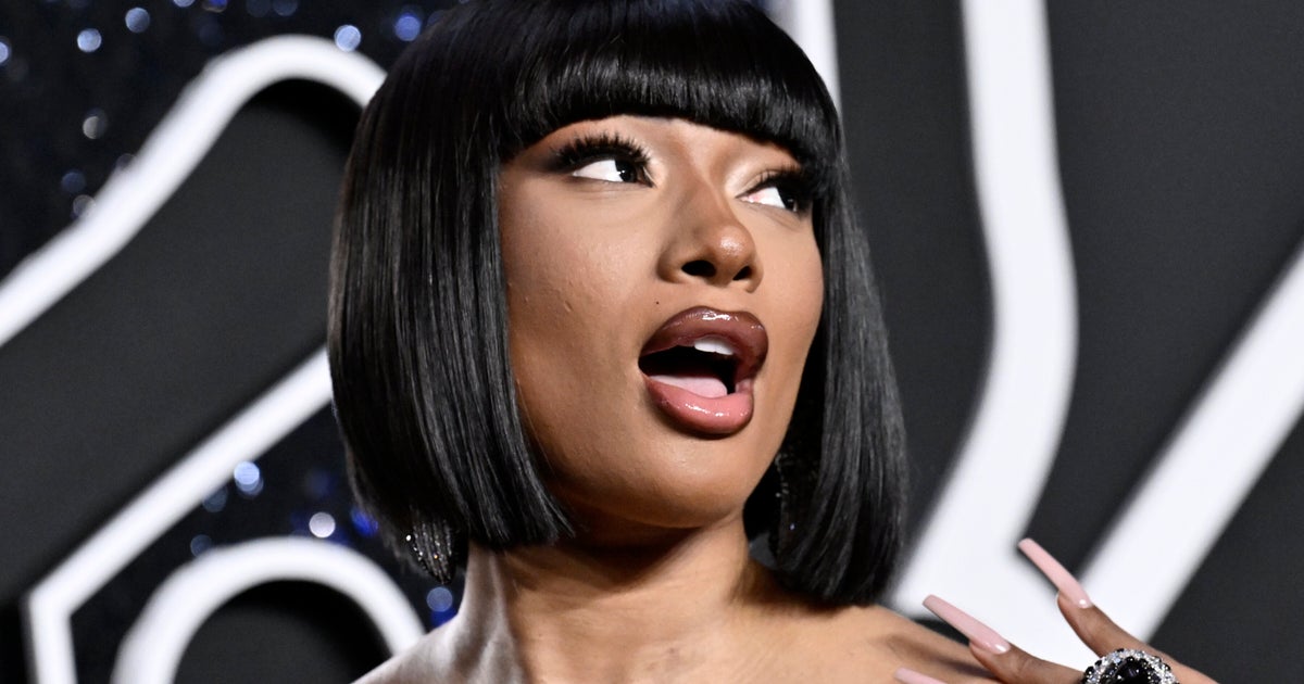 Megan Thee Stallion's VMAs Snake Stunt Goes Wrong In A Hurry | HuffPost ...