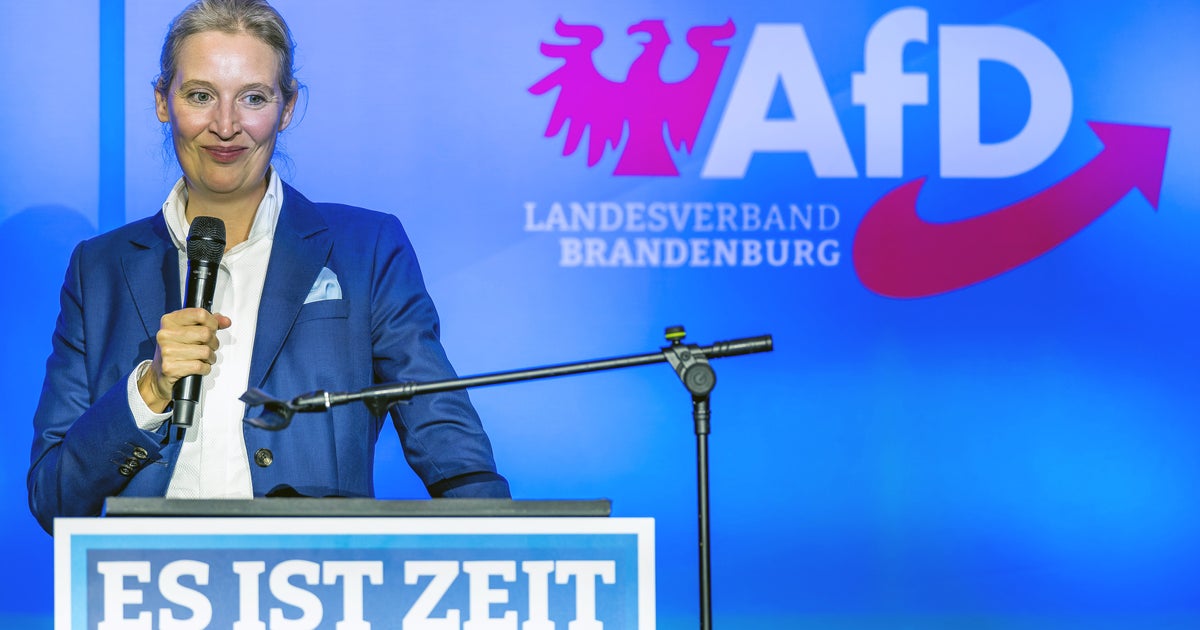 Πρώτη δύναμη σε δημοσκοπήσεις το AfD και στο Βρανδεμβούργο ενόψει ...