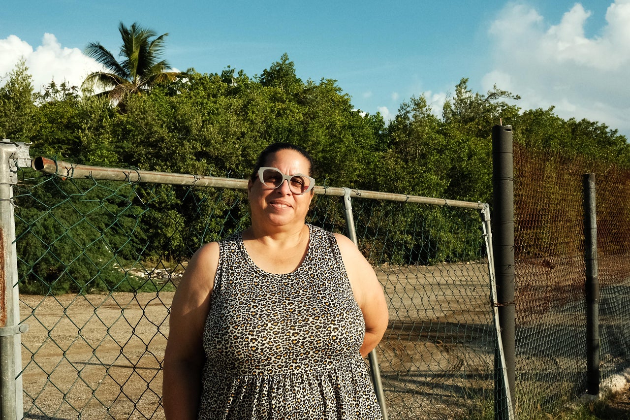A 'Flood' Of Solar Panels Threatens Puerto Rico's Farmers | HuffPost Impact