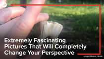 Extremely Disturbing Photos That Will Ruin Your Day | HuffPost Videos