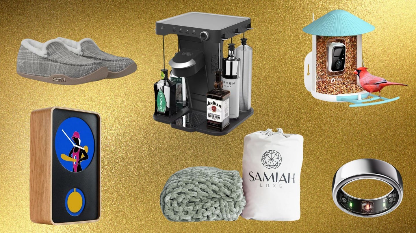 29 Holiday Gifts Totally Worth The Splurge | HuffPost Life