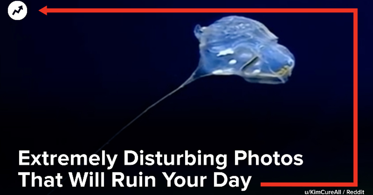 Extremely Disturbing Photos That Will Ruin Your Day | HuffPost UK Videos