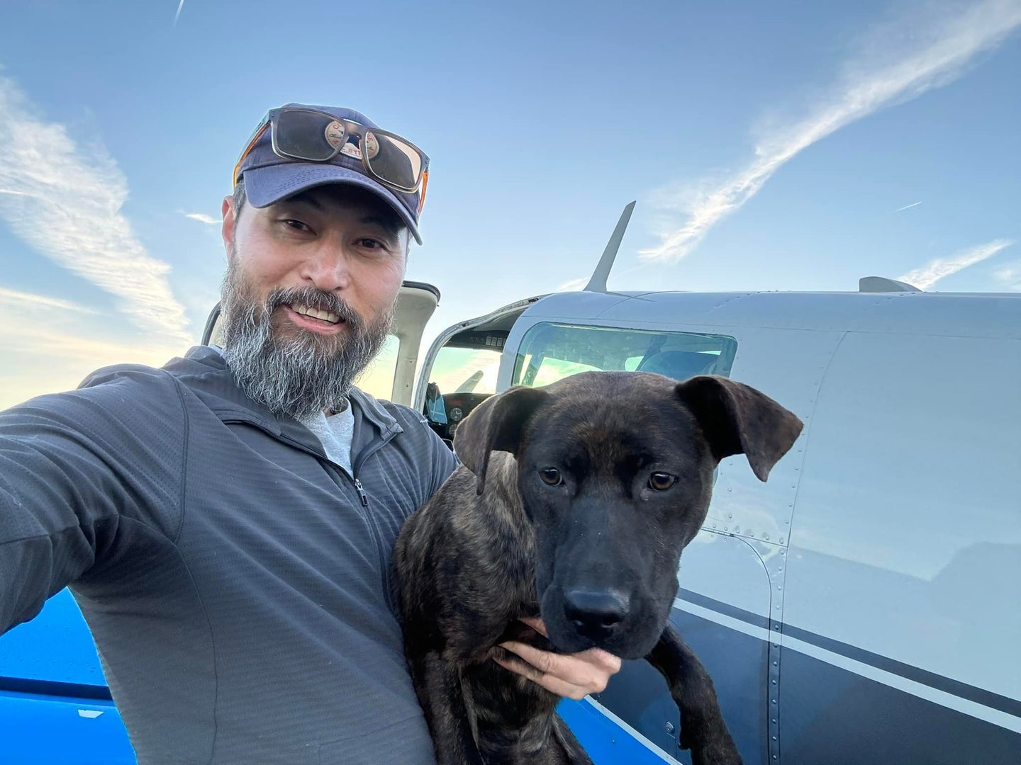Pilot Who Flew 'Hundreds' Of Shelter Animals To Safe Homes Dies In ...