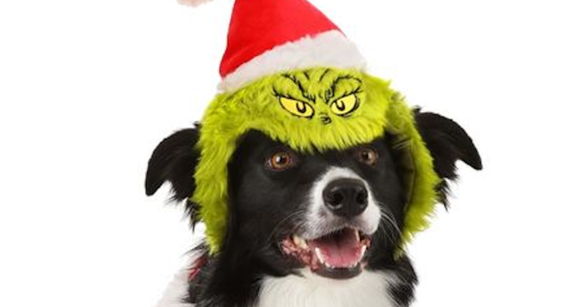 61 Weird Christmas Gifts Too Strange Even For Santa | HuffPost Weird News
