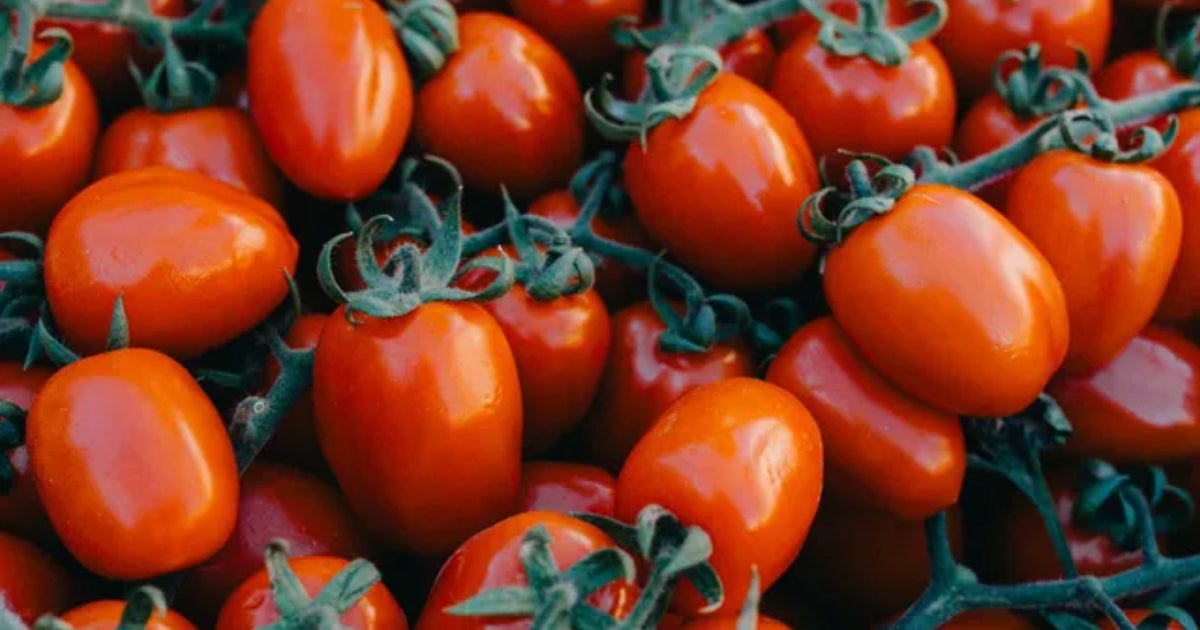 The Best Tomato Purée Recipe For Making It At Home | HuffPost UK Life