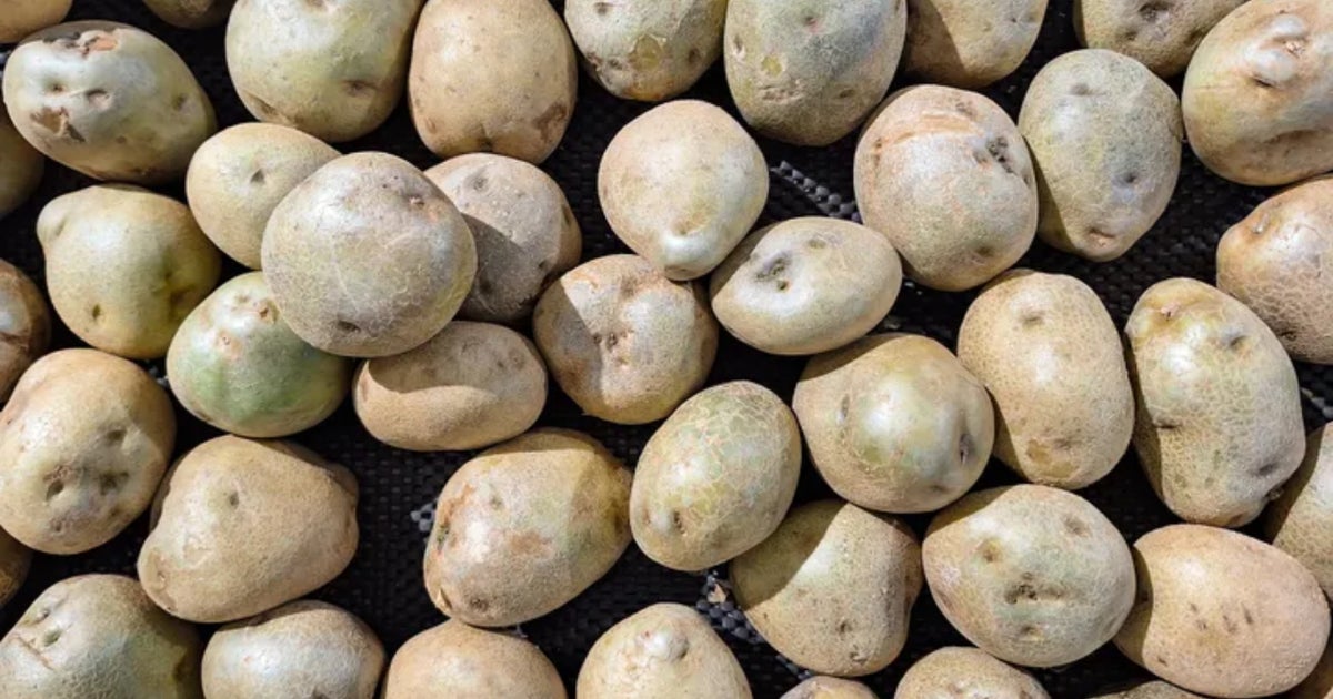 Do Potatoes Count As One Of Your 5 A Day? | HuffPost UK Life