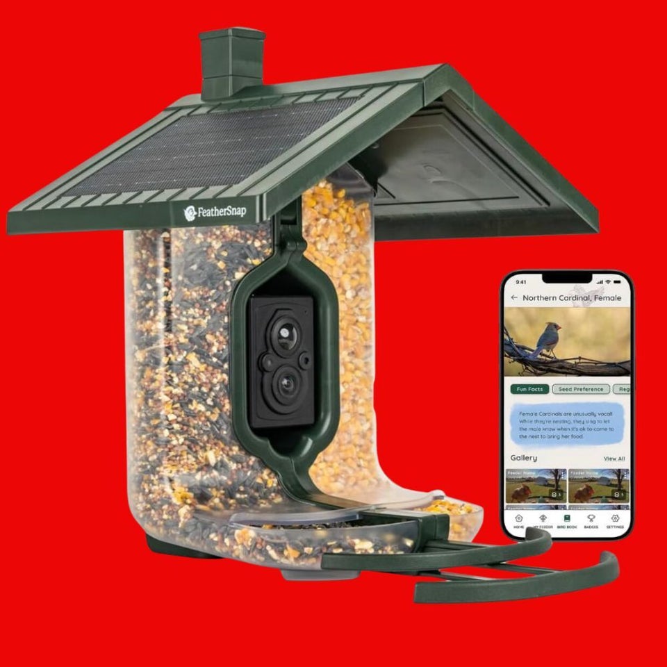 34 Top Christmas Gifts To Give In 2024 | HuffPost Life