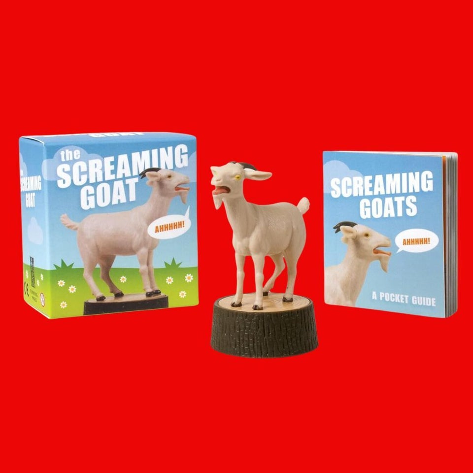 34 Top Christmas Gifts To Give In 2024 | HuffPost Life