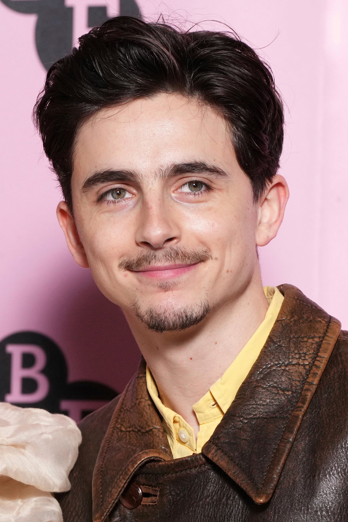 Timothée Chalamet Finds Losing At Award Shows 'Hilarious' | HuffPost ...