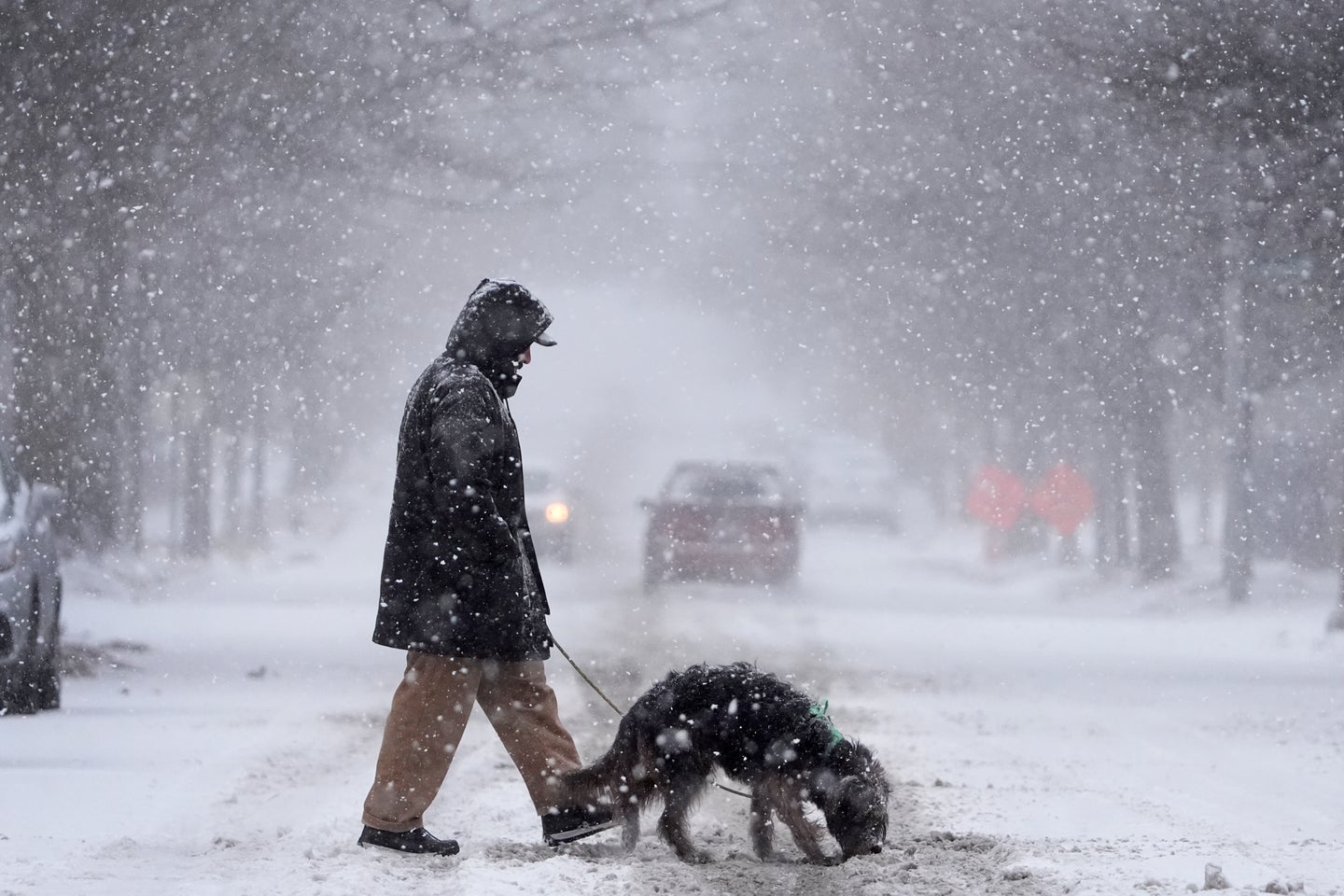 The Heaviest Snowfall In A Decade Is Possible As A Wintery Blast Roils ...