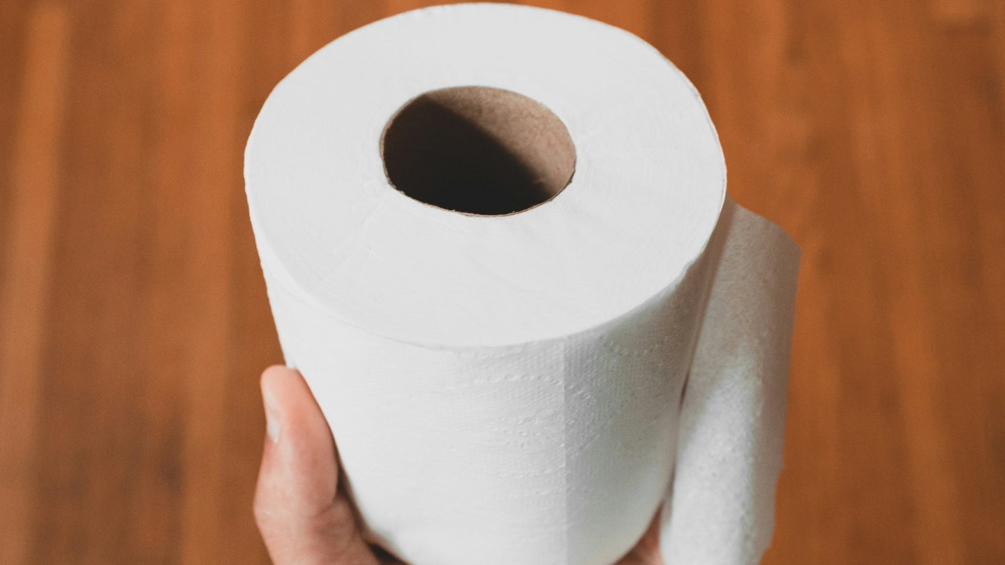 What Does Green Poop Mean? | HuffPost UK Life