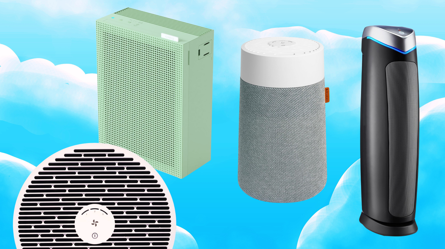 The 14 Best Affordable Air Purifiers | HuffPost Life