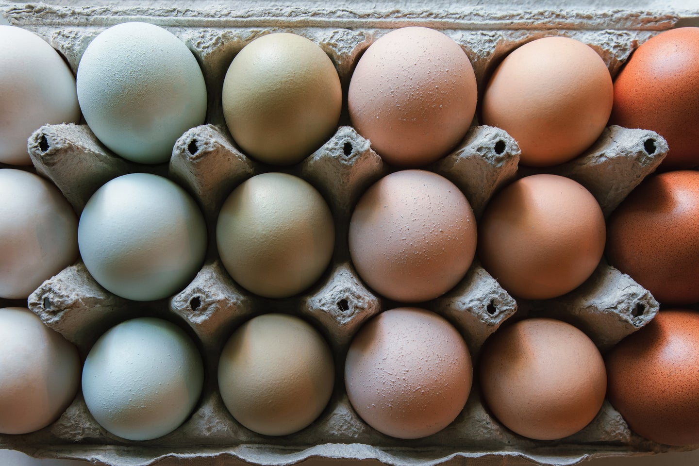 Do Eggs Expire? And Are They Safe To Eat? | HuffPost Life