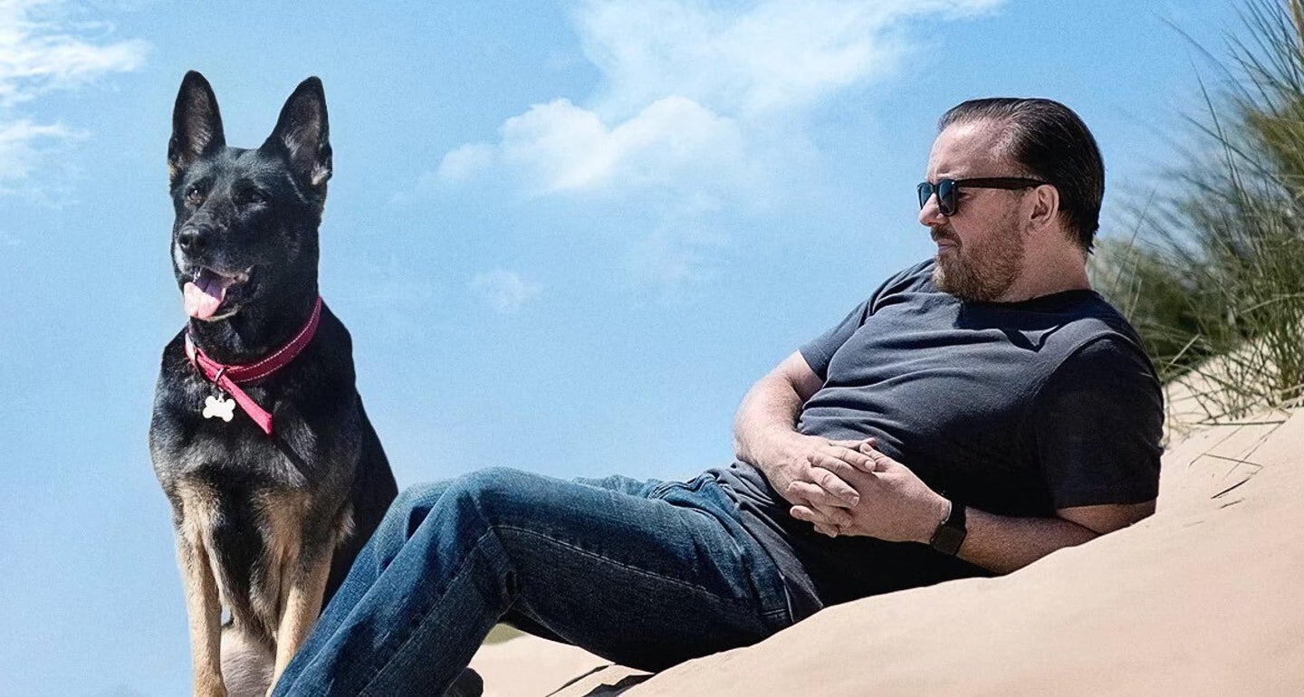 Ricky Gervais Pays Tribute To After Life Dog Who Played Brandy ...