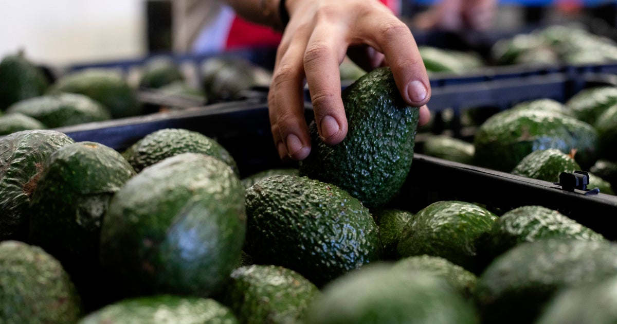 How The Avocado 'Stem Test' Can Reveal Its Ripeness | HuffPost UK Life