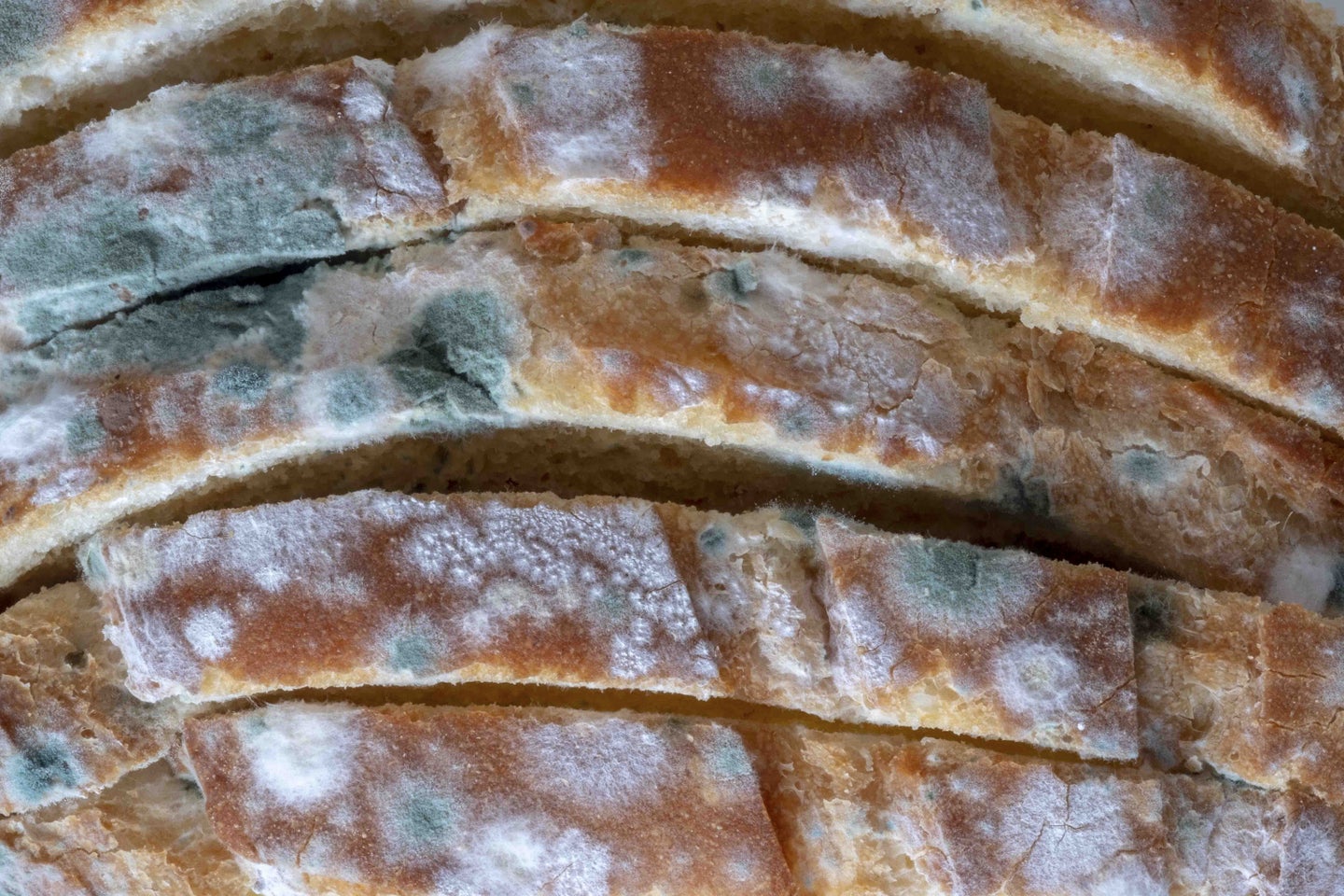How To Tell If Moldy Bread Is Safe To Eat | HuffPost Life