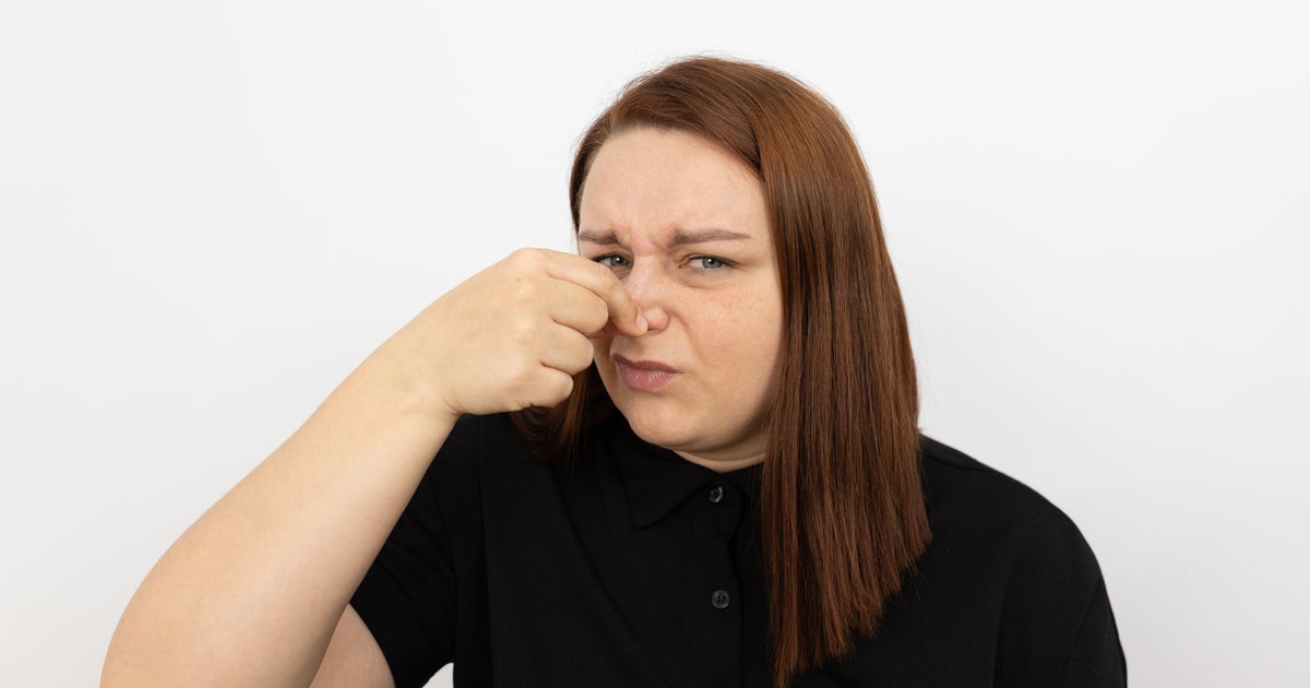 Welsh Woman Pleads Guilty To Sending Fart Videos To Boyfriend's Ex ...