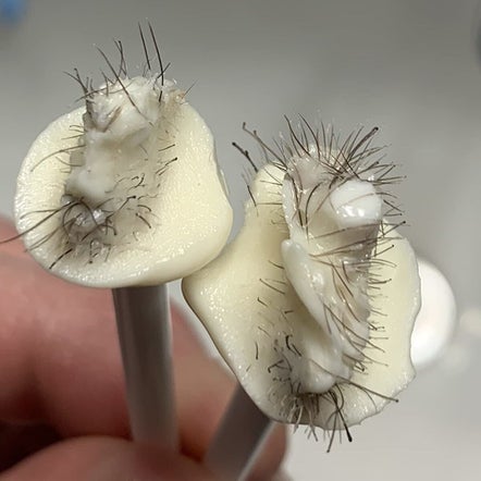 34 Products For All Your Gross Problems | HuffPost Life