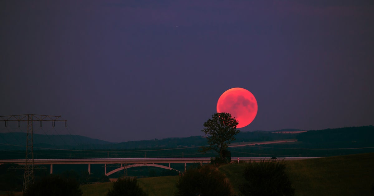 How To See The Next Blood Moon Lunar Eclipse In March 2025 | HuffPost ...