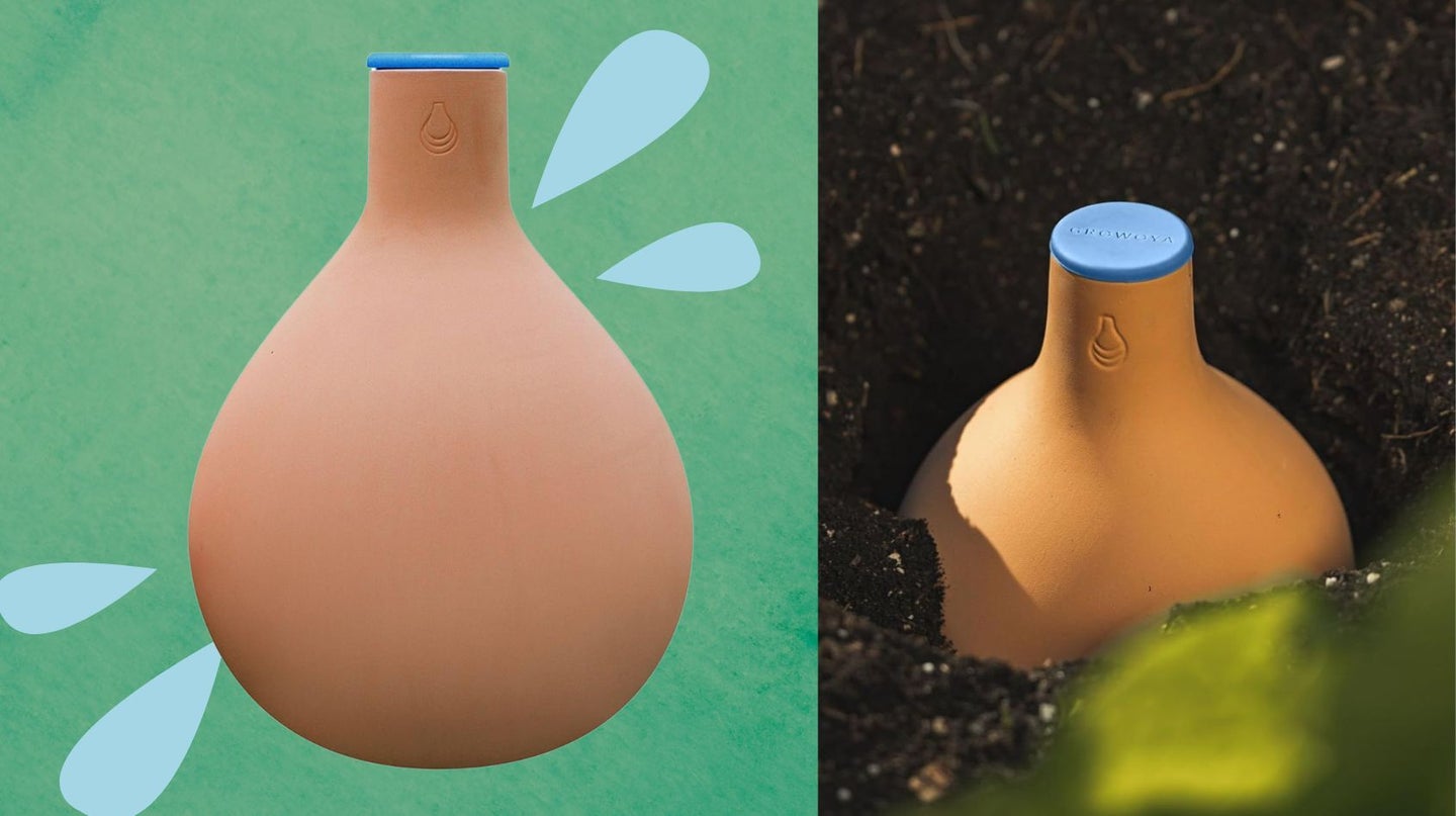The GrowOya Pot Waters Your Plants For You | HuffPost Life