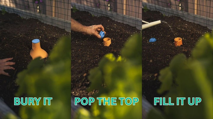 The GrowOya Pot Waters Your Plants For You | HuffPost Life