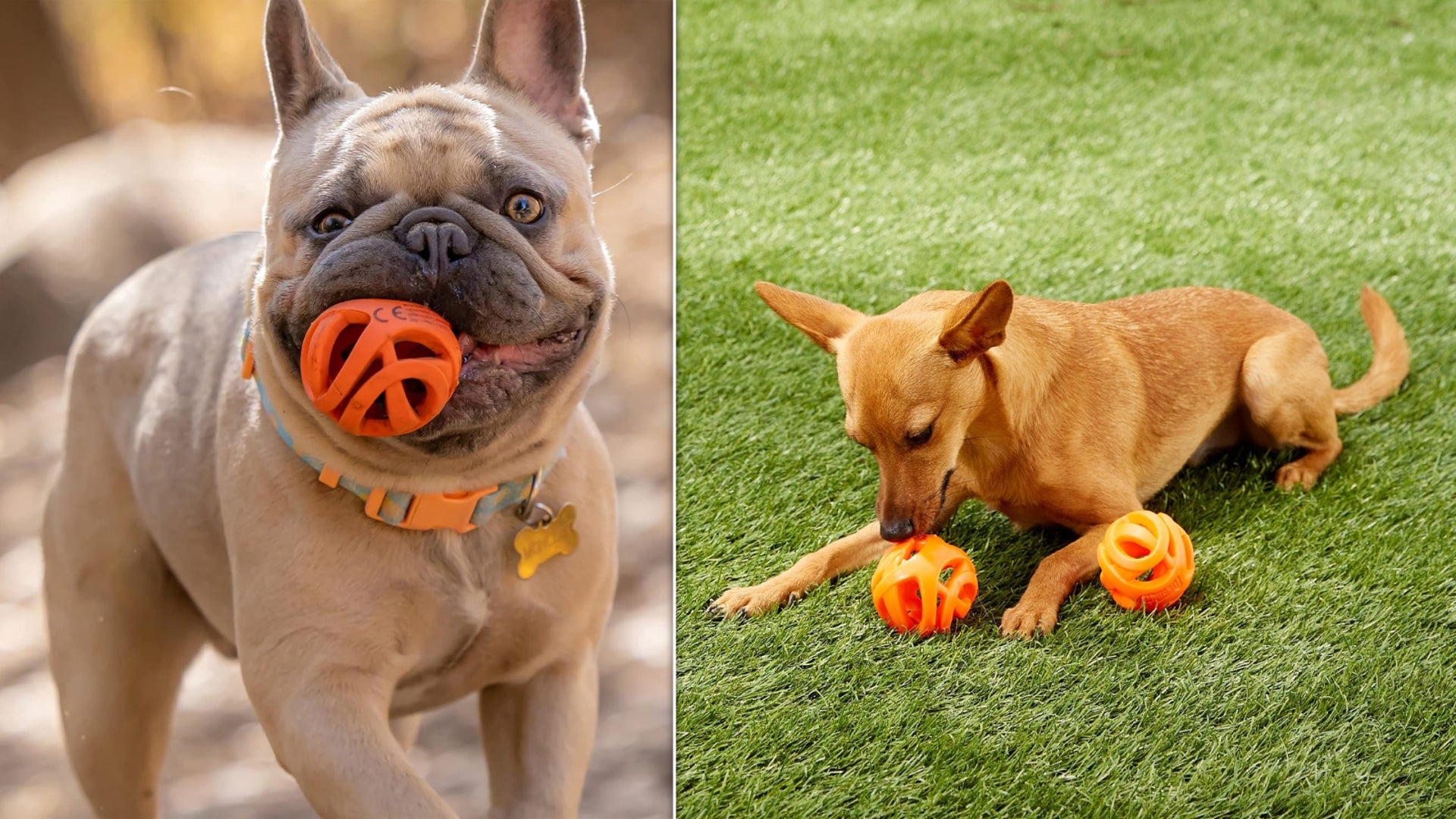 Tennis Balls Can Harm Your Dog. These Alternatives Are Safer | HuffPost ...