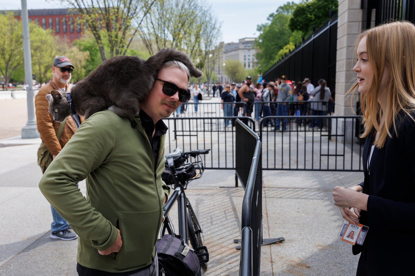 Cat Wanders Onto White House Grounds, Joins The Press Corps | HuffPost ...