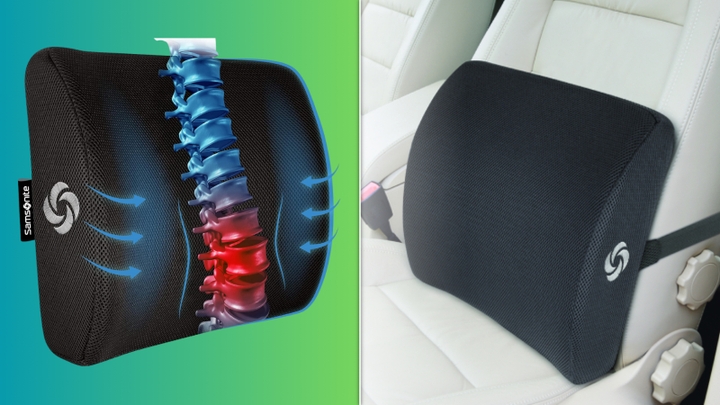 Lumbar Support Pillow For Back Pain On Sale For $20 At Amazon ...